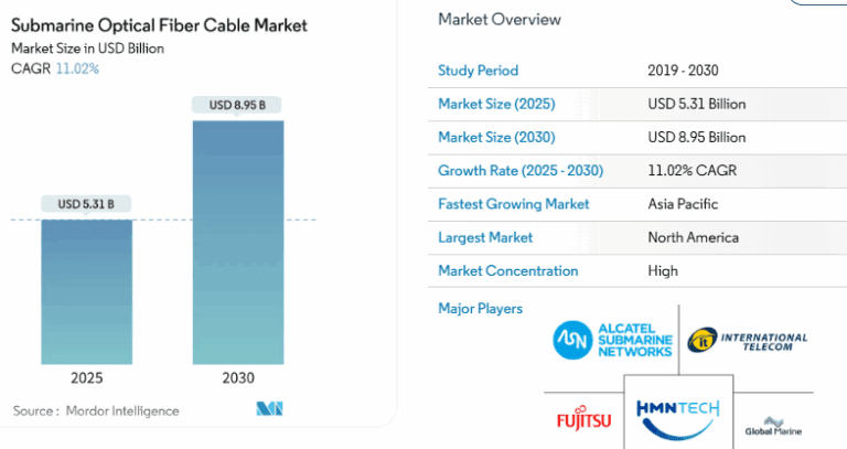 Subsea cable systems: the new high-capacity, high-resilience backbone ...